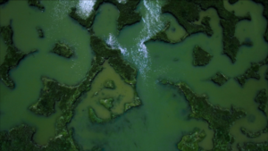 A Brief History of Maldon Salt's Origin - Maldon Salt