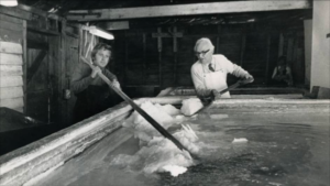 A Brief History of Maldon Salt's Origin - Maldon Salt