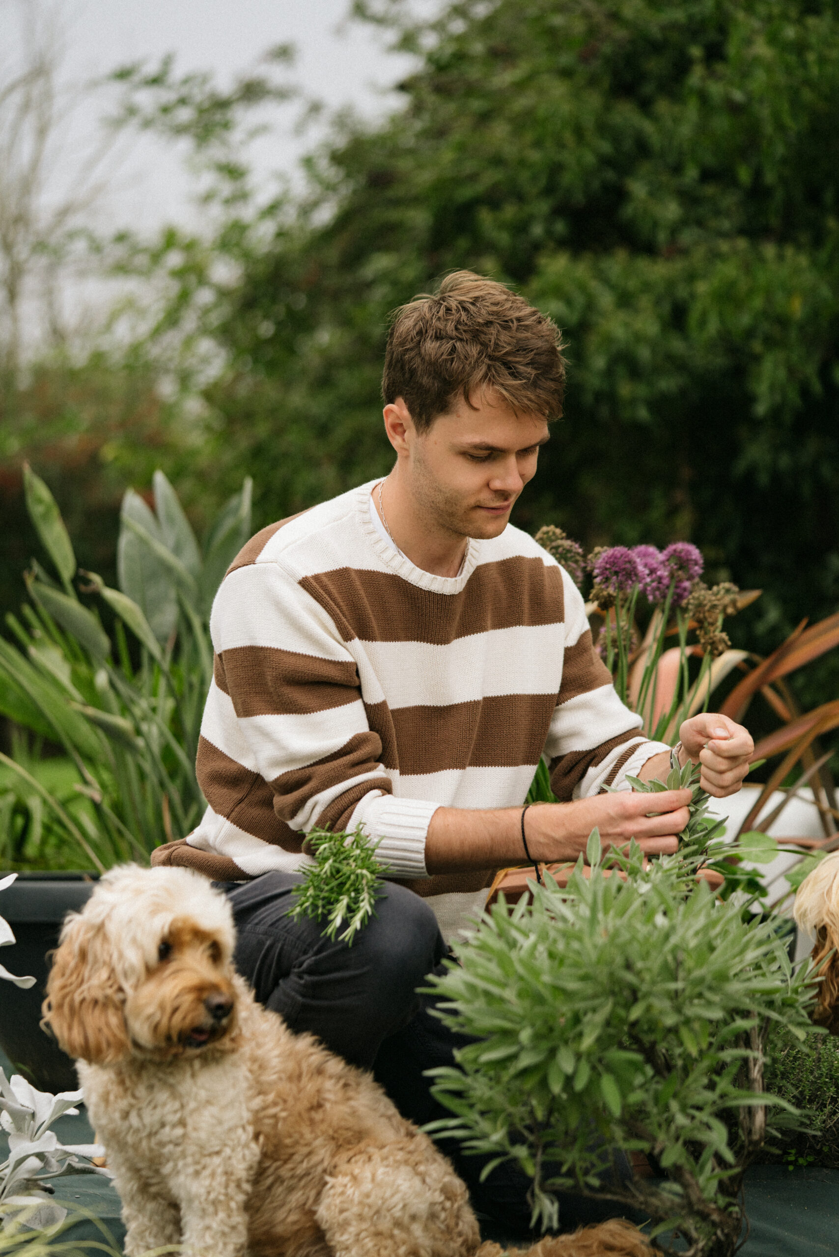 In Conversation with Harrison Webb - Maldon Salt