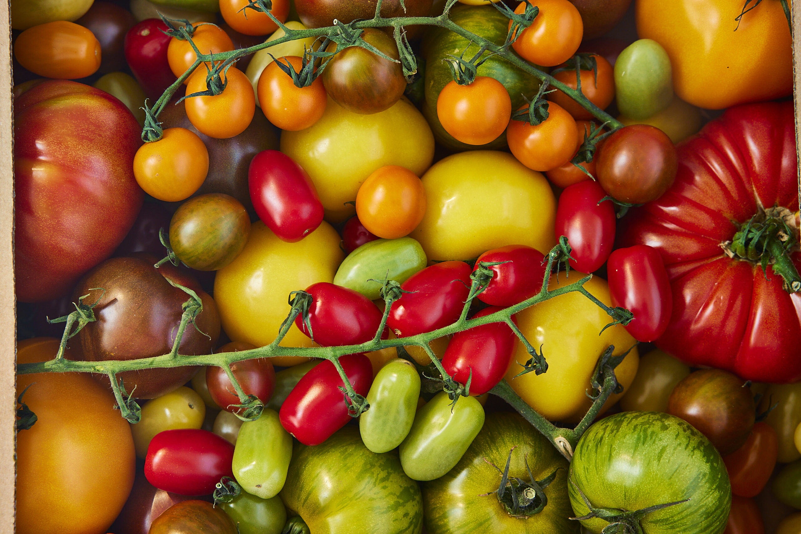 Why We Should All Be Buying British Tomatoes This Summer - Maldon Salt